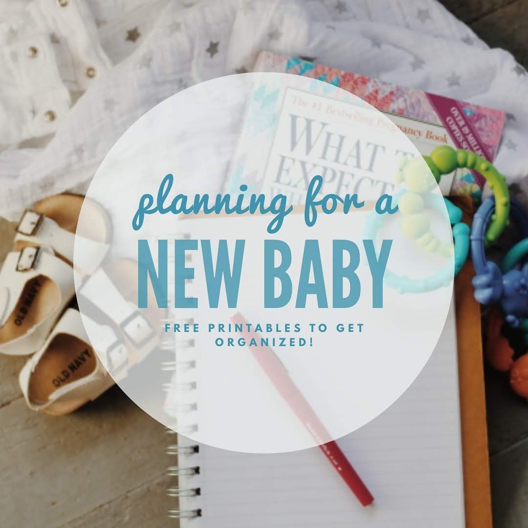 Pregnancy Planning For Baby Free Printables Healthy Mama Hacks